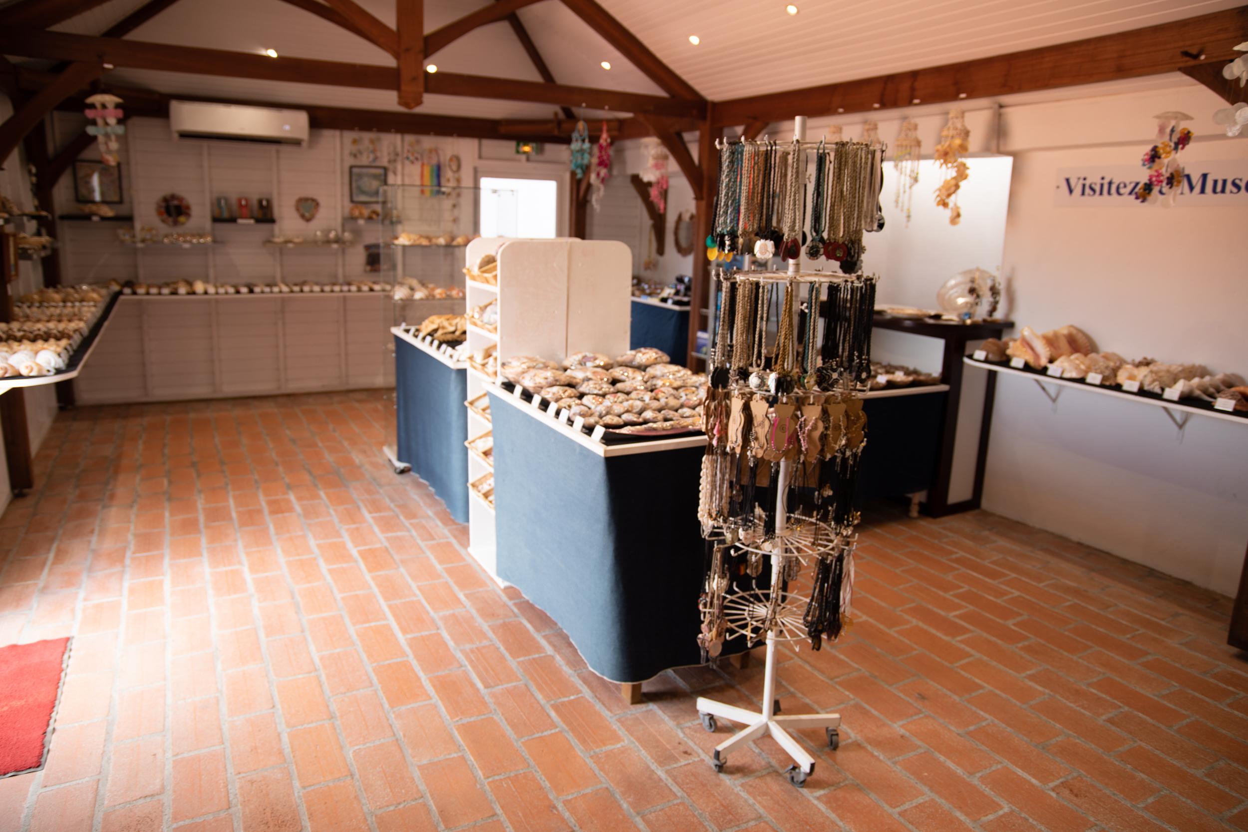 Le musée de la mer / Musée marin & coquillage en Martinique